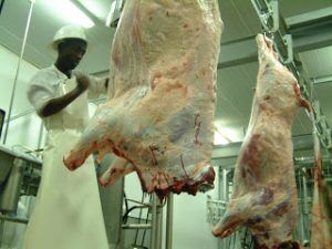 Abattoirs and the meat industry – Agribook Digital