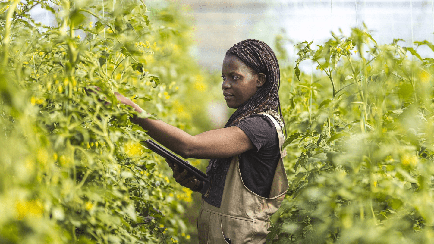 South African Agriculture Faces Severe Decline Amid Economic ...